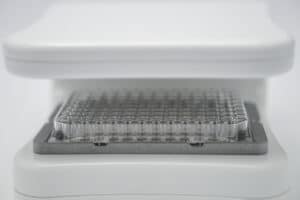 Cytotoxicity assay - zenCELL owl -Microscopy for the incubator